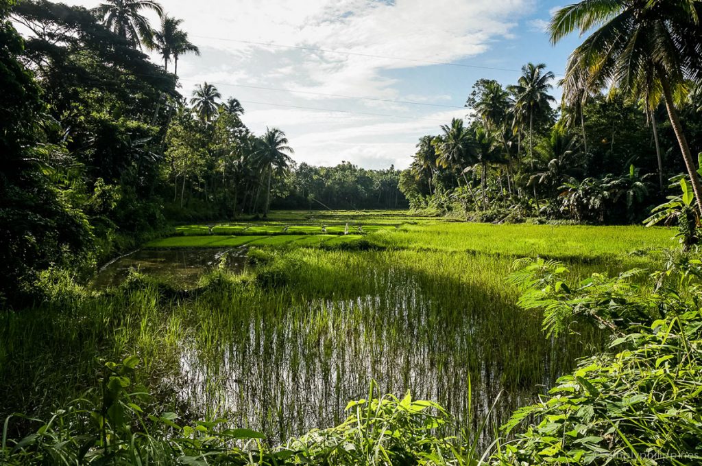 7 Best Places to Stay in Bohol Away from the Crowds