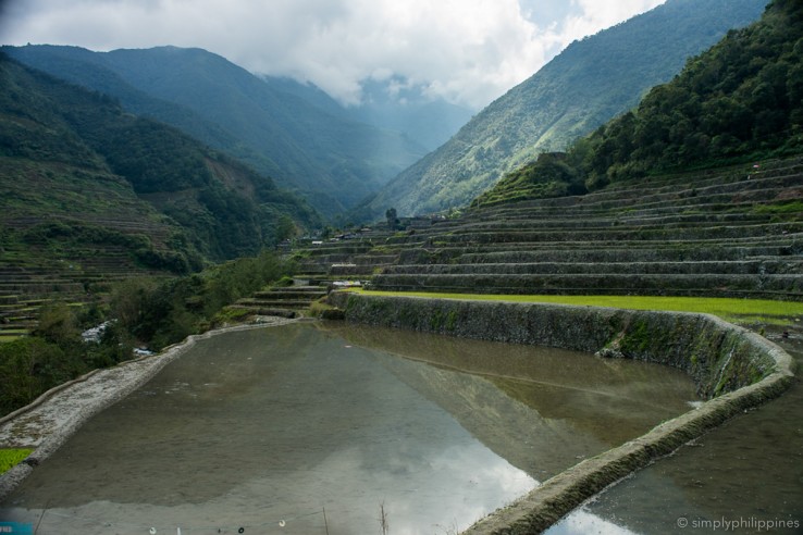 Hanging Out in the Hapao Rice Terraces | SimplyPhilippines