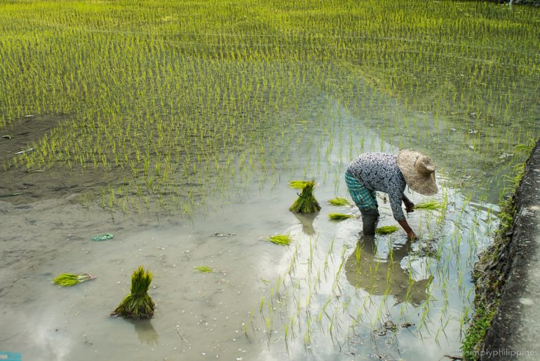 hapau-banaue-philippines-36 | Simply Philippines