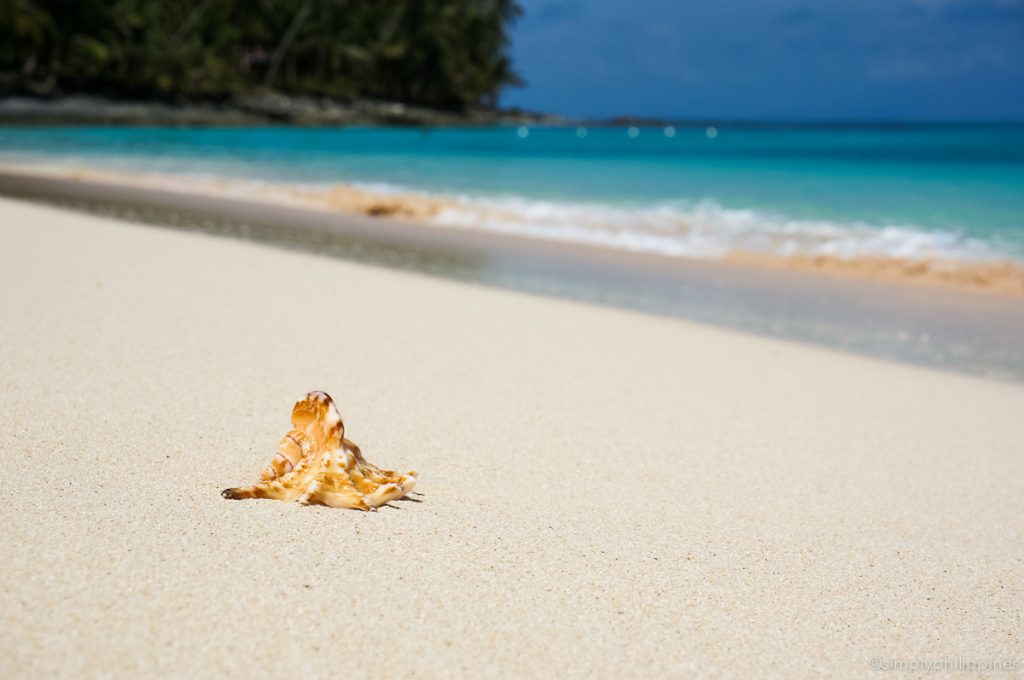 Why Siargao Deserves to be Your Next Holiday Destination