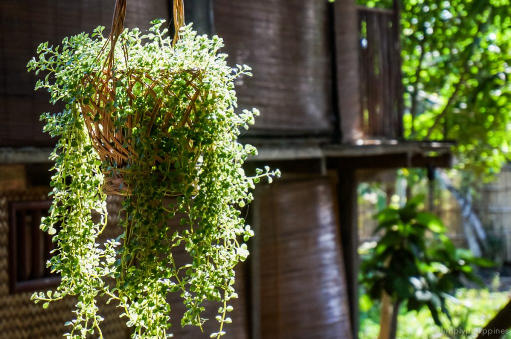 Bahay Kalipay Review: Happiness, health and yoga in Palawan