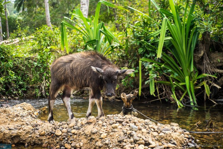 7 Essential Tips for Seeing the Best of El Nido | SimplyPhilippines